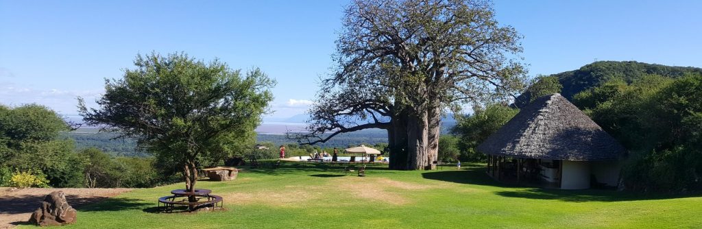 Migombani Campsite - Tanzania Safaris | Wildlife Experience Tanzania (WET)